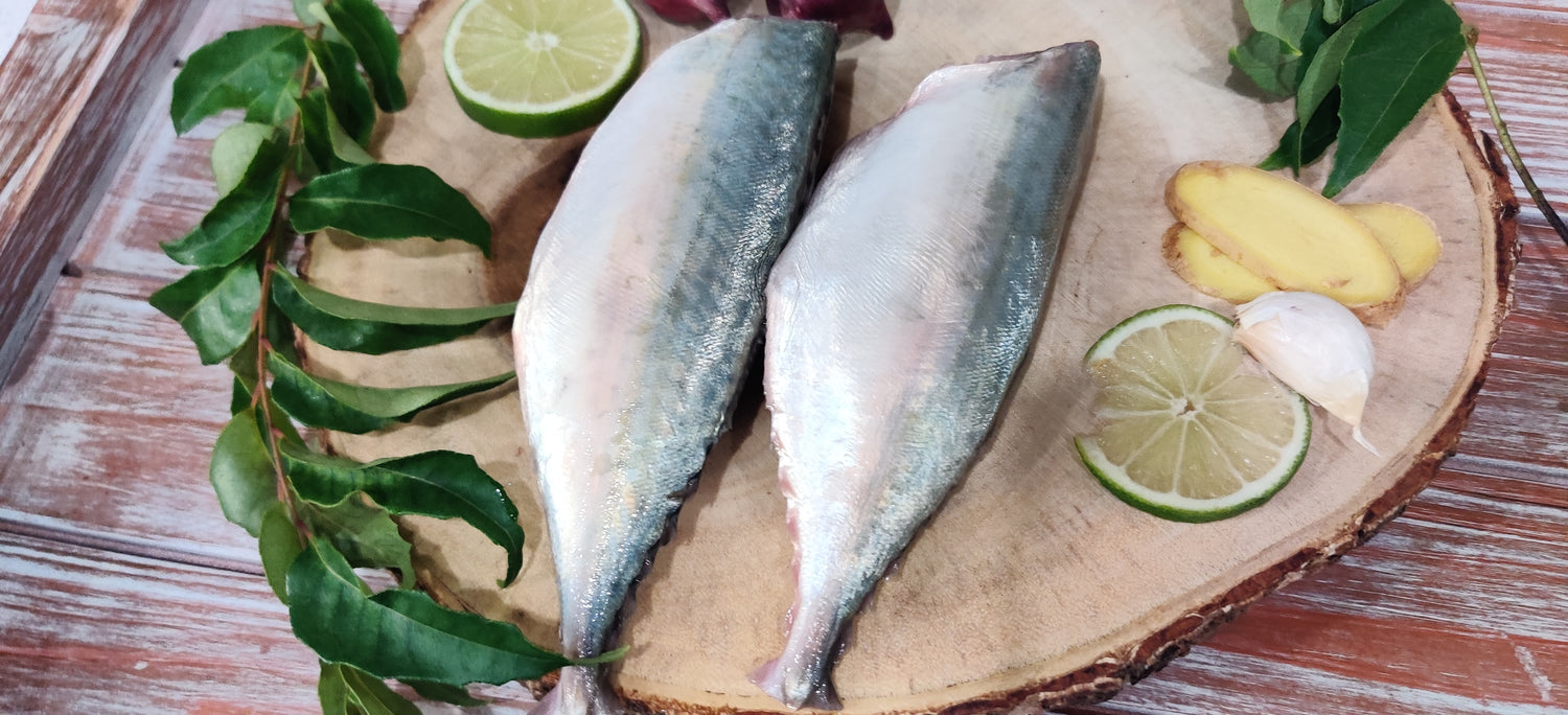 Meet UR Fish | Seafood Wholesaler & Retailer | Dallas